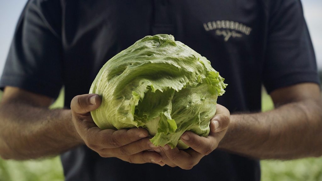 Homepage - LeaderBrand