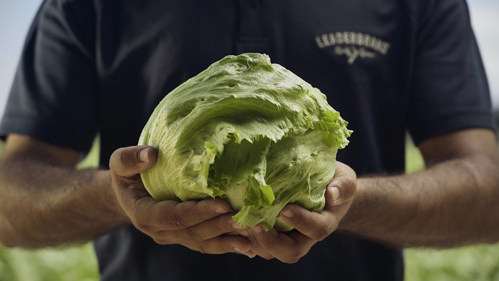 Homepage - LeaderBrand