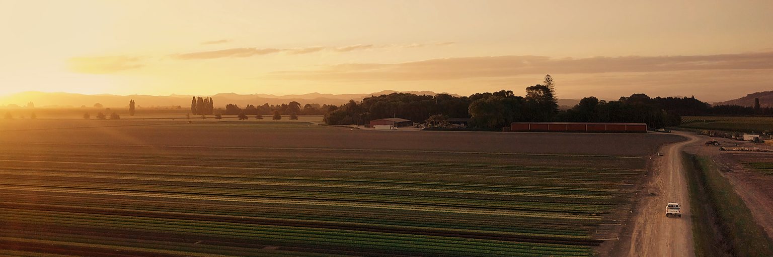 Homepage - LeaderBrand