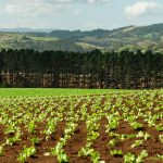 Our Farms - LeaderBrand