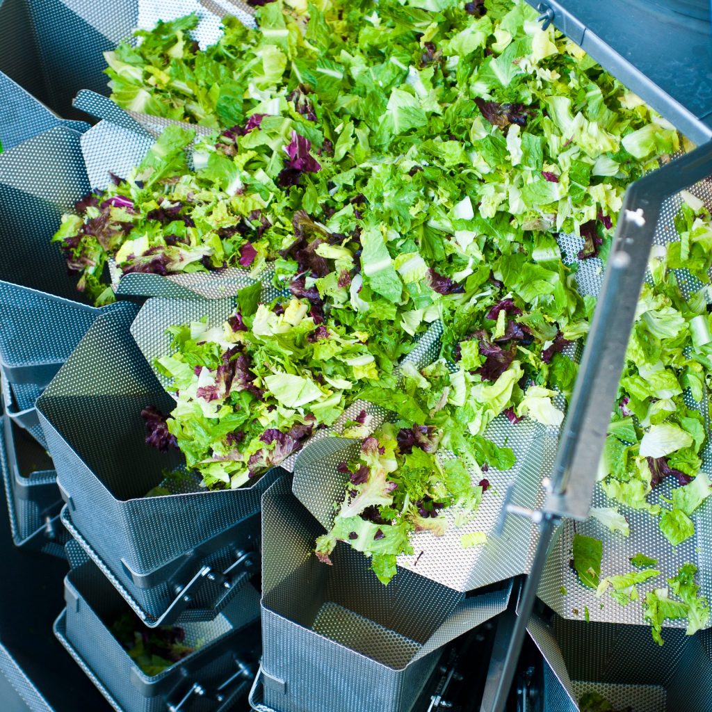 CUT SALAD - LeaderBrand