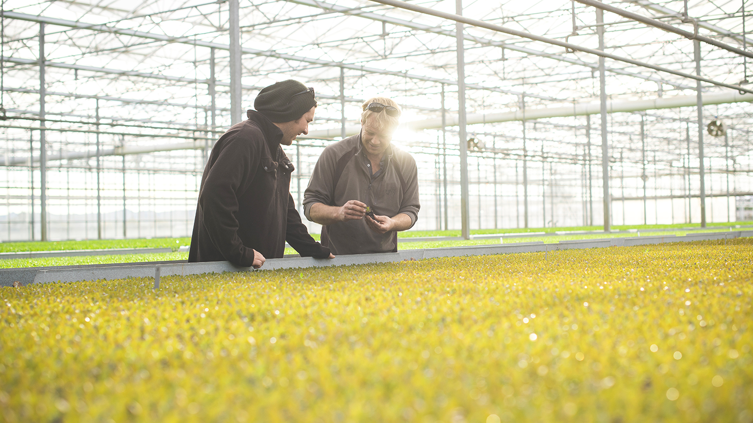 Careers - LeaderBrand