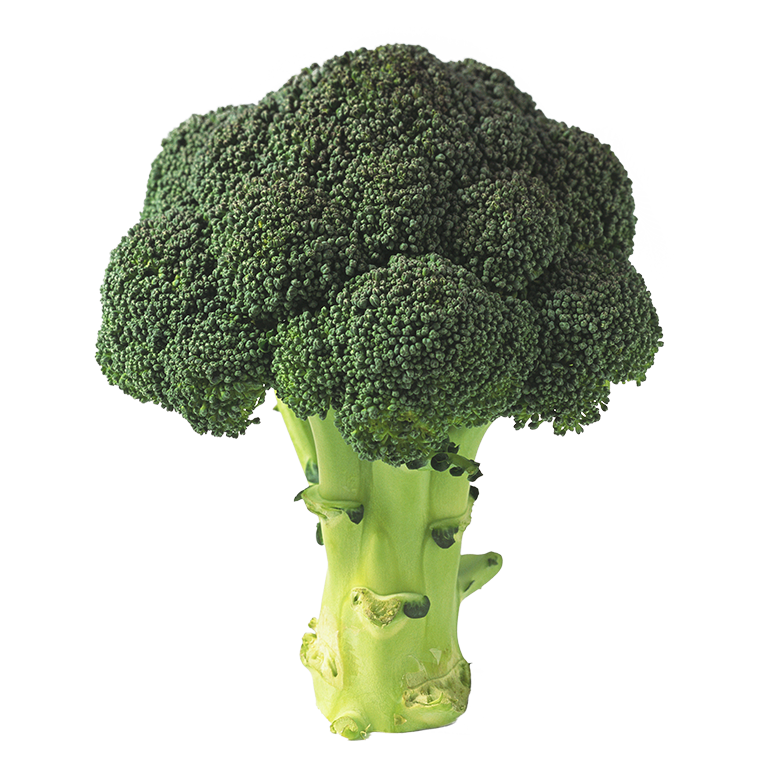 BROCCOLI PARMIGIANA - LeaderBrand