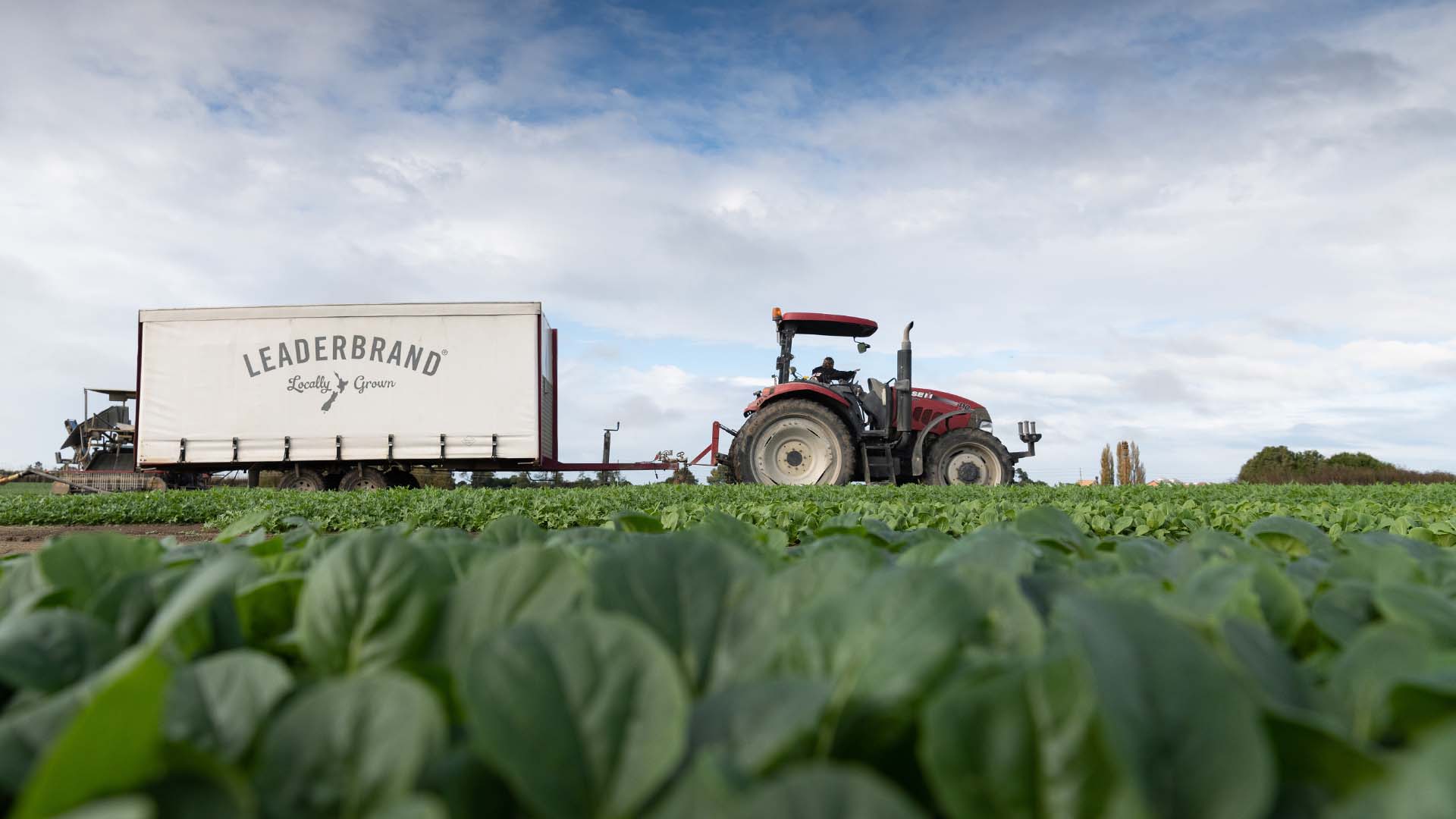 Our Farms - LeaderBrand