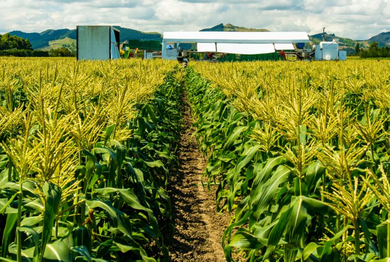 Our Stories - LeaderBrand