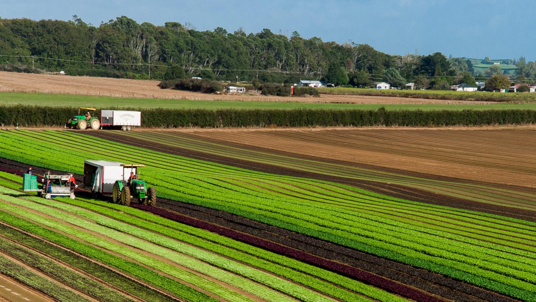 Our Farms - LeaderBrand