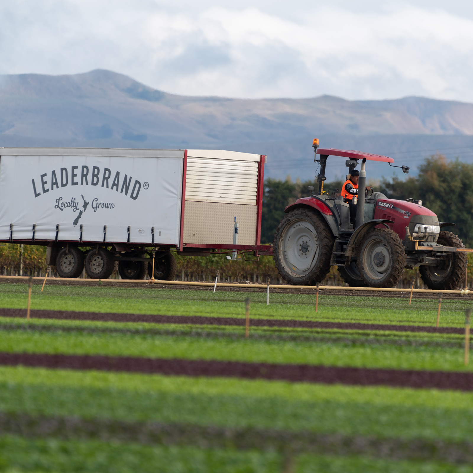 OUR FARMING PRACTISES MUST ADAPT - LeaderBrand