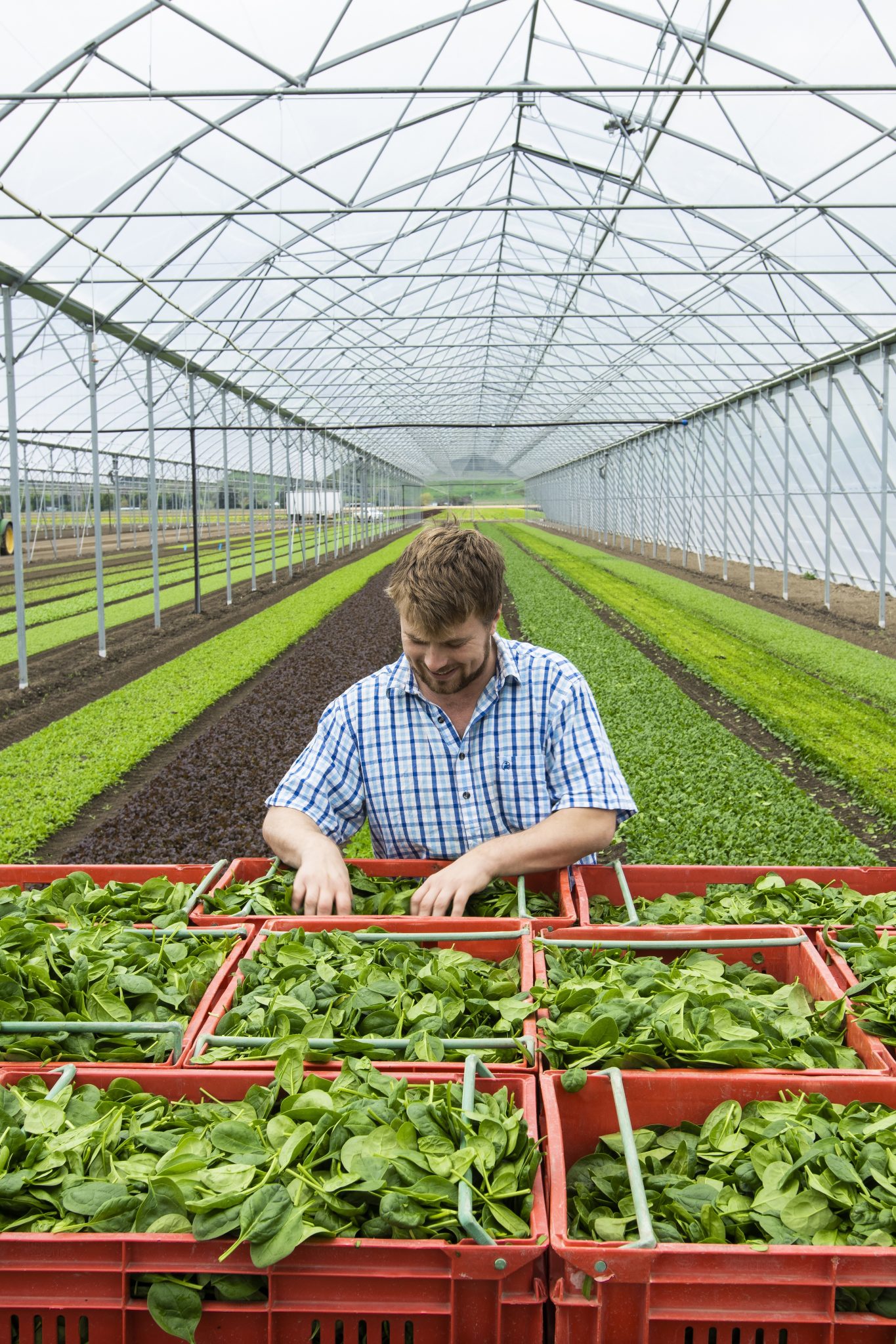 MAJOR MILESTONE - LeaderBrand