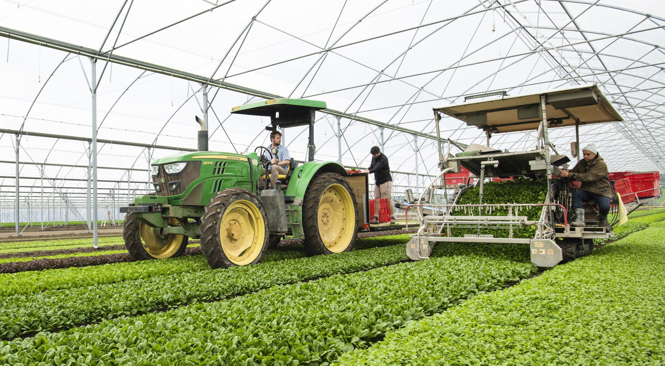 MAJOR MILESTONE - LeaderBrand