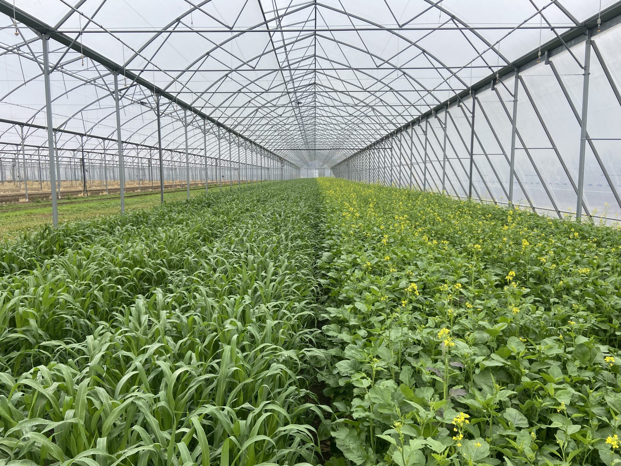 Farming for a Healthy Future - LeaderBrand