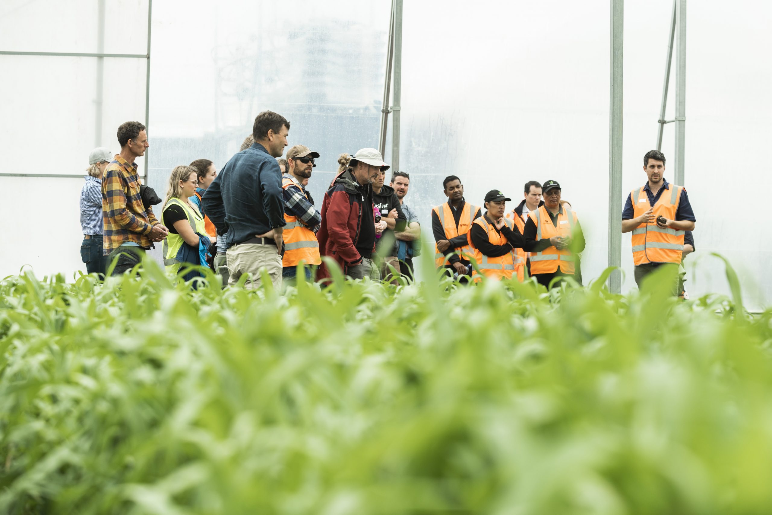FARMING FOR A HEALTHIER FUTURE - LeaderBrand