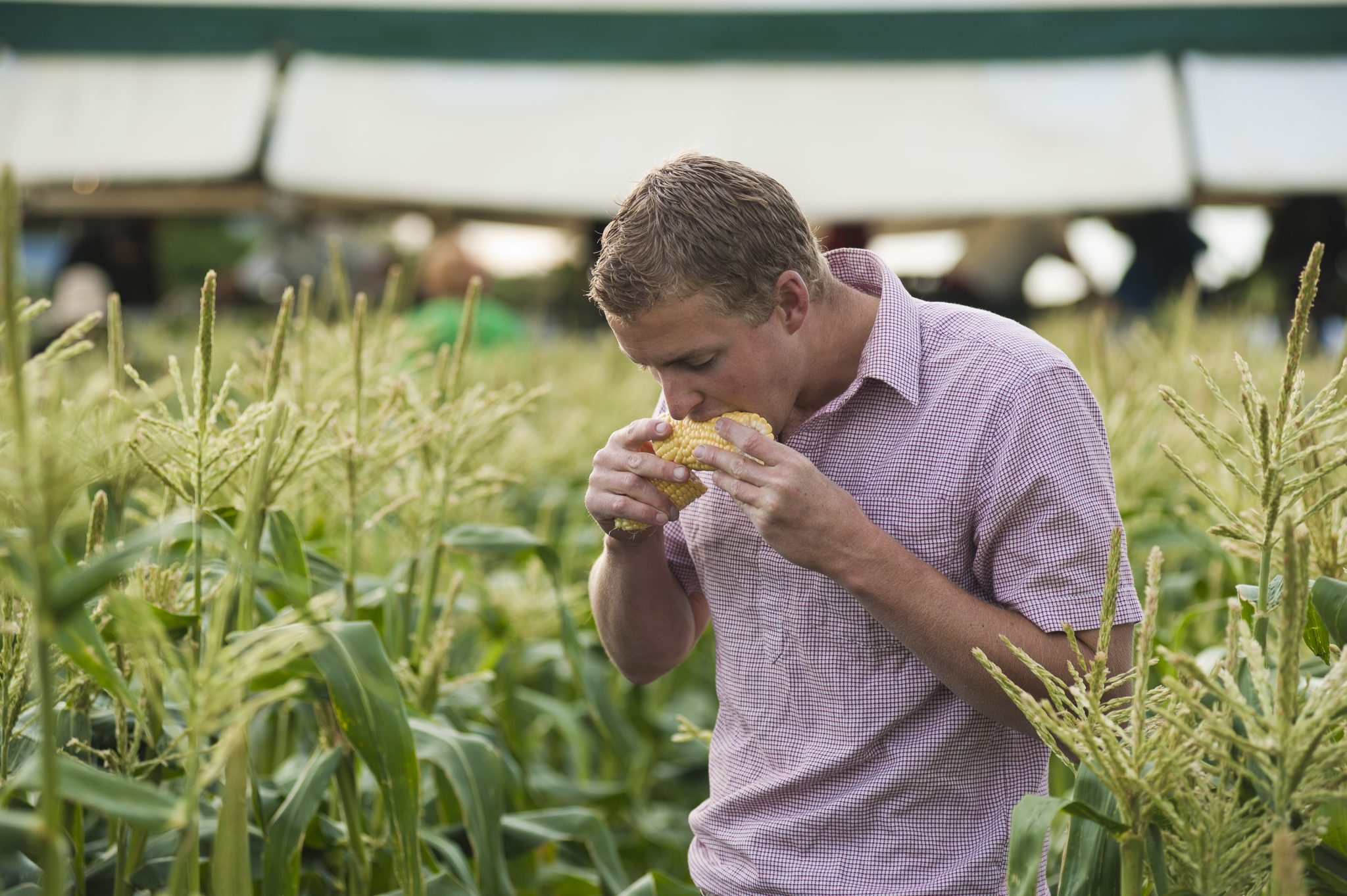 SWEET CORN SEASON IS FINALLY HERE! - LeaderBrand