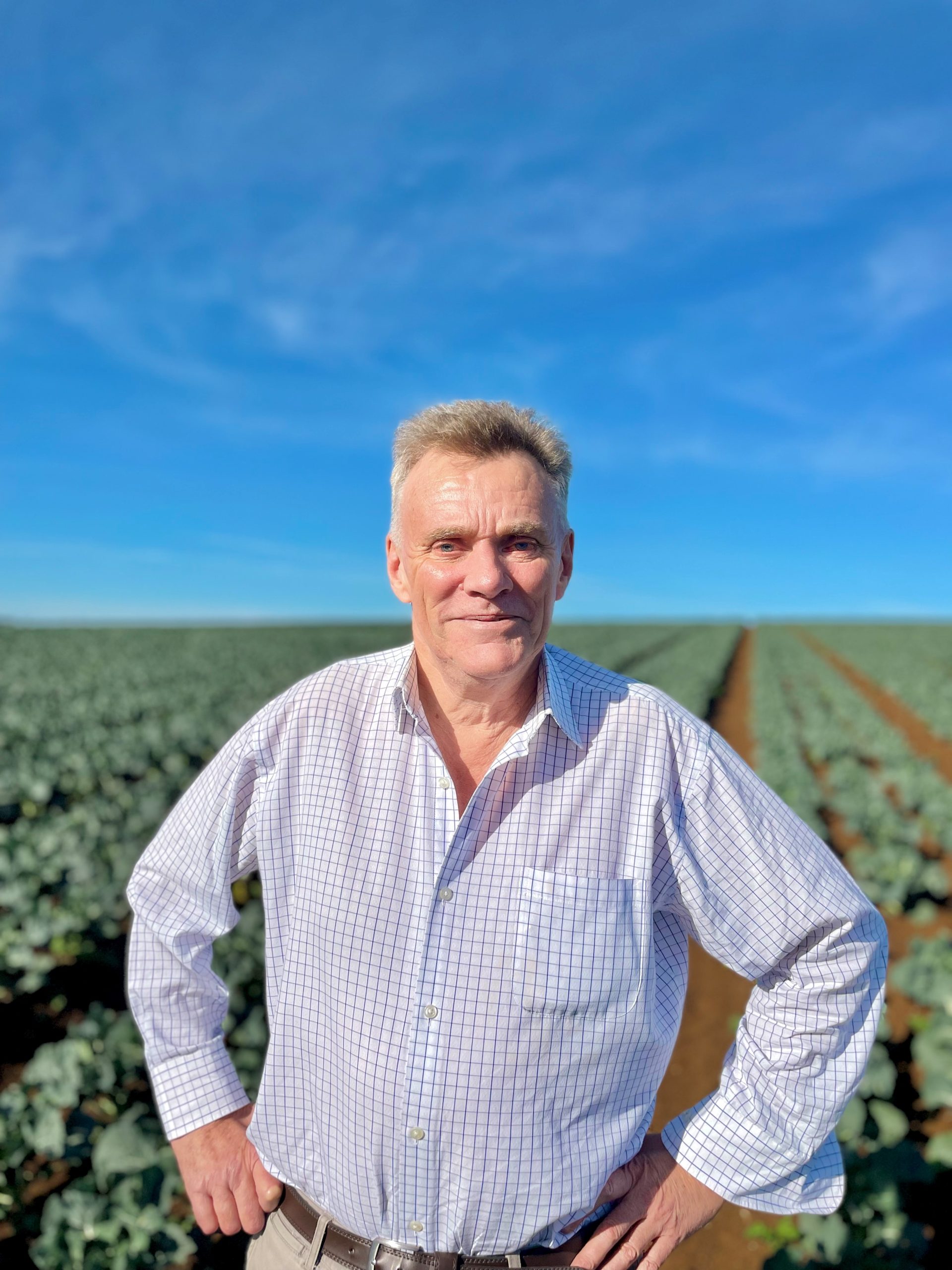 DR STUART DAVIS WINS HIGHEST HORTICULTURE HONOUR: THE BLEDISLOE CUP ...