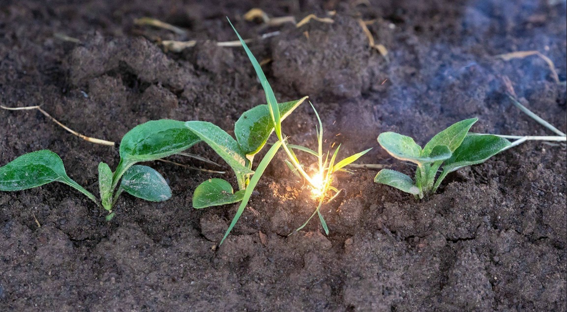 Machine Operator: Laser Weeder - LeaderBrand